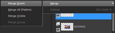 Creating a photo collage - Corel Discovery Center