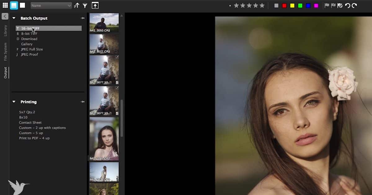 Using Batch Output to export your edited photos - Corel Discovery Center