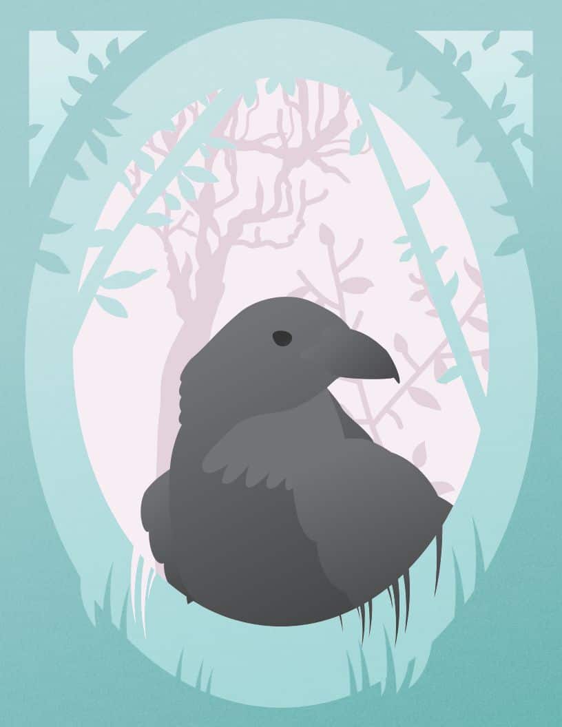 Adding depth with the Shadow tools - Corel Discovery Center