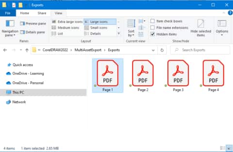 How to export multiple assets at the same time - Corel Discovery Center