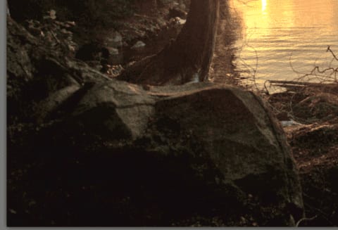 Improving quality in low resolution photos - Corel Discovery Center