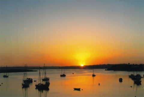 Improving quality in low resolution photos - Corel Discovery Center