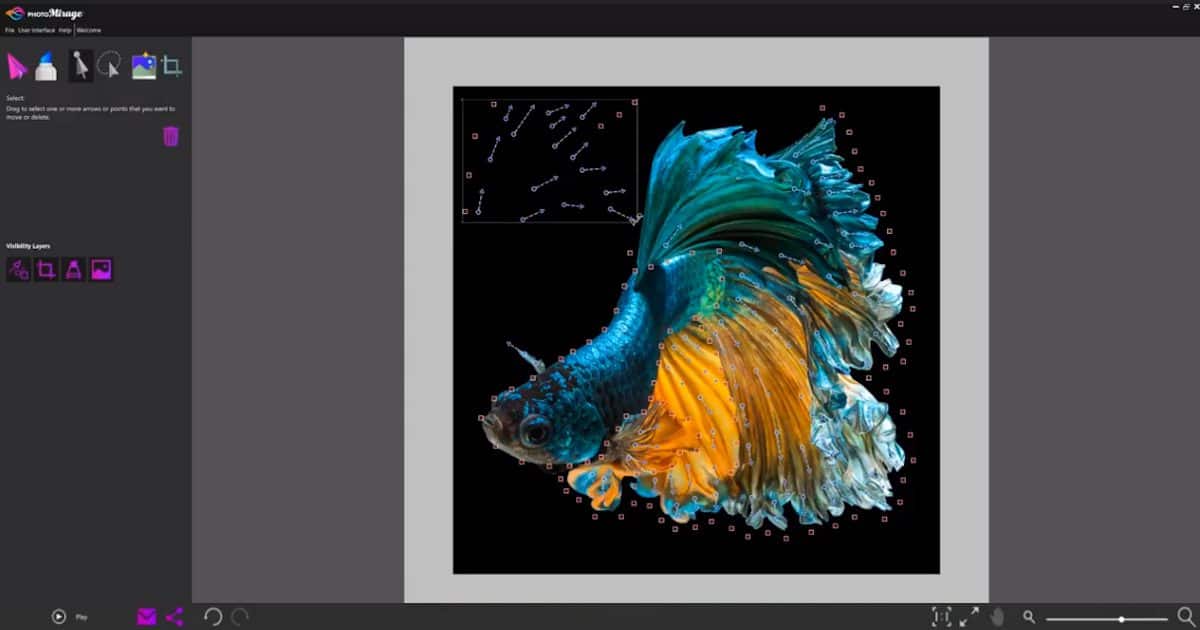 How to use the Selection tools in PhotoMirage - Corel Discovery Center