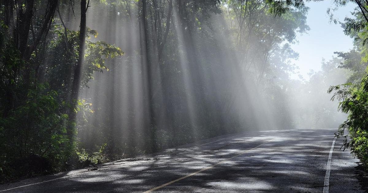 Nature photography tips - Corel Discovery Center