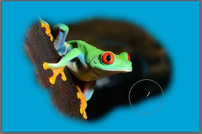 How to create new masks - Corel Discovery Center