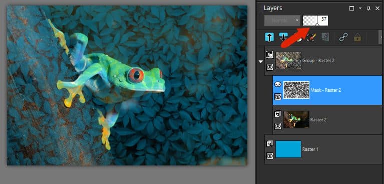 How to create new masks - Corel Discovery Center