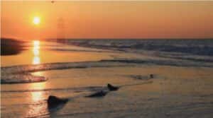 How to use Blend Modes - Corel Discovery Center