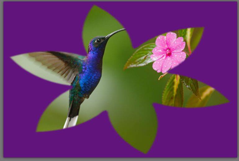 How to Apply Masks - Corel Discovery Center