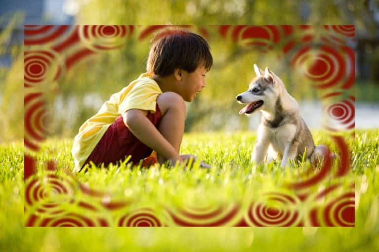 How to edit and adjust masks - Corel Discovery Center