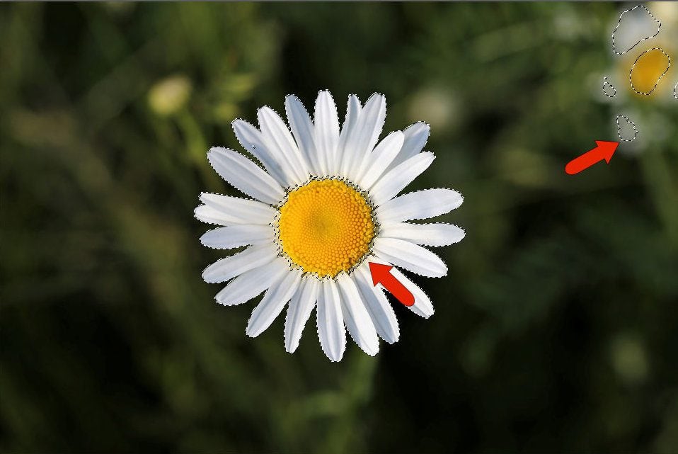 Creating masks from selections - Corel Discovery Center