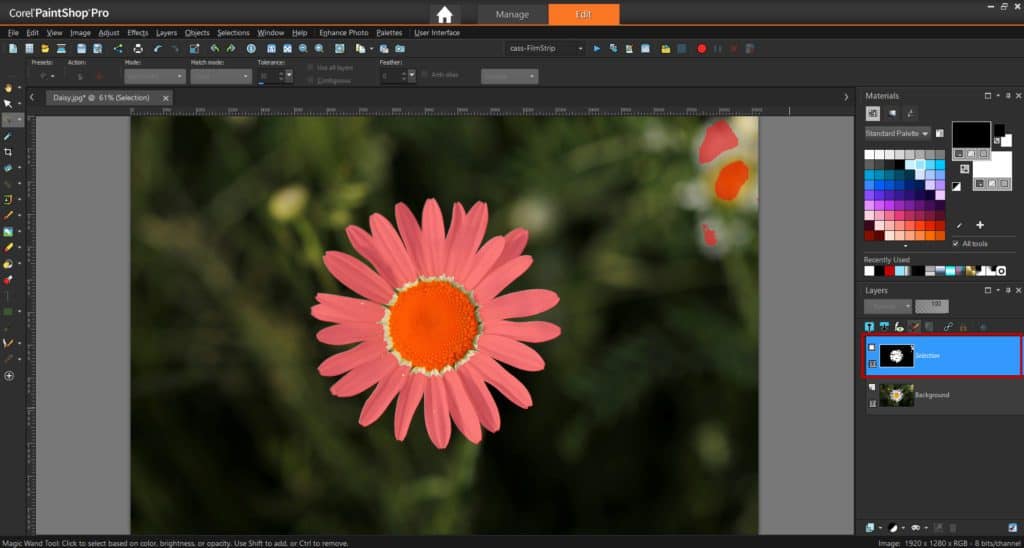 Creating masks from selections - Corel Discovery Center