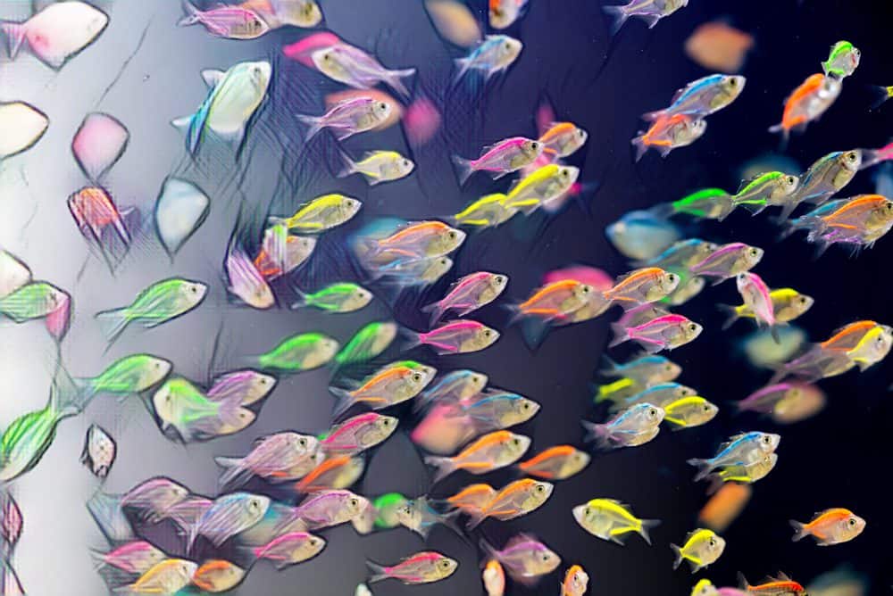 Creating gradient masks - Corel Discovery Center