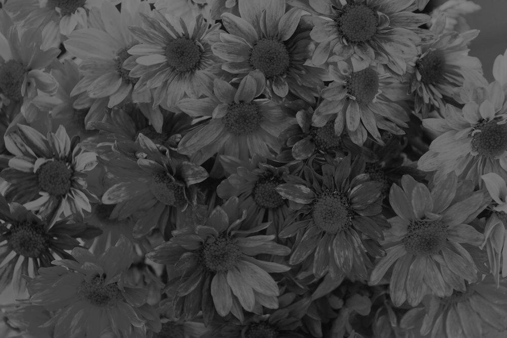 Creating gradient masks - Corel Discovery Center