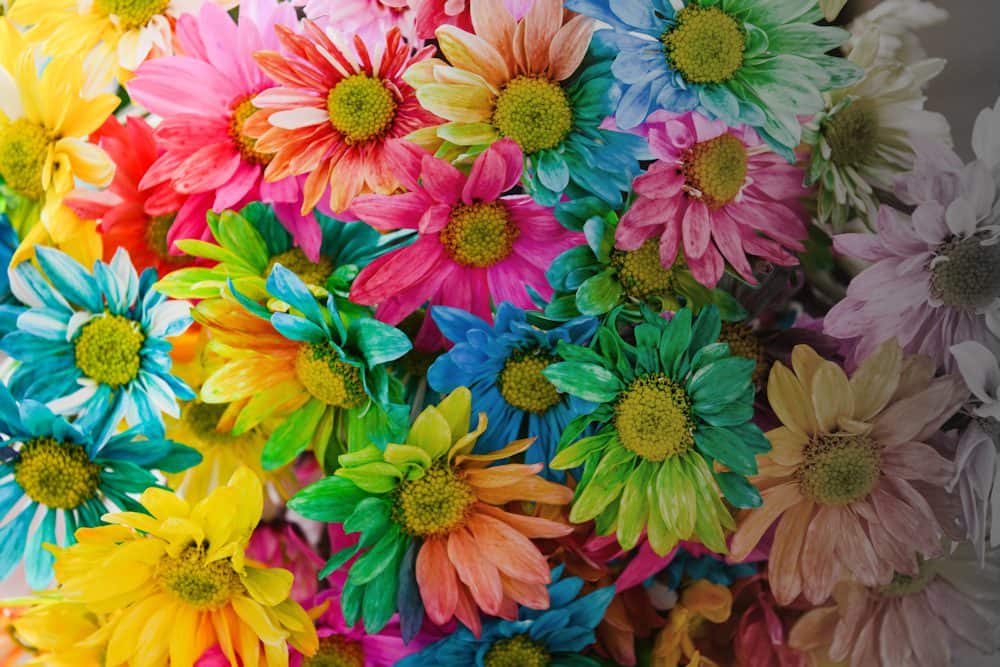 Creating gradient masks - Corel Discovery Center