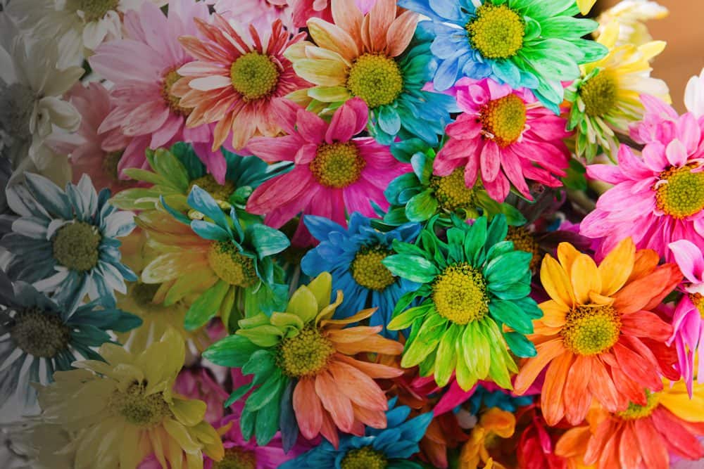 Creating gradient masks - Corel Discovery Center