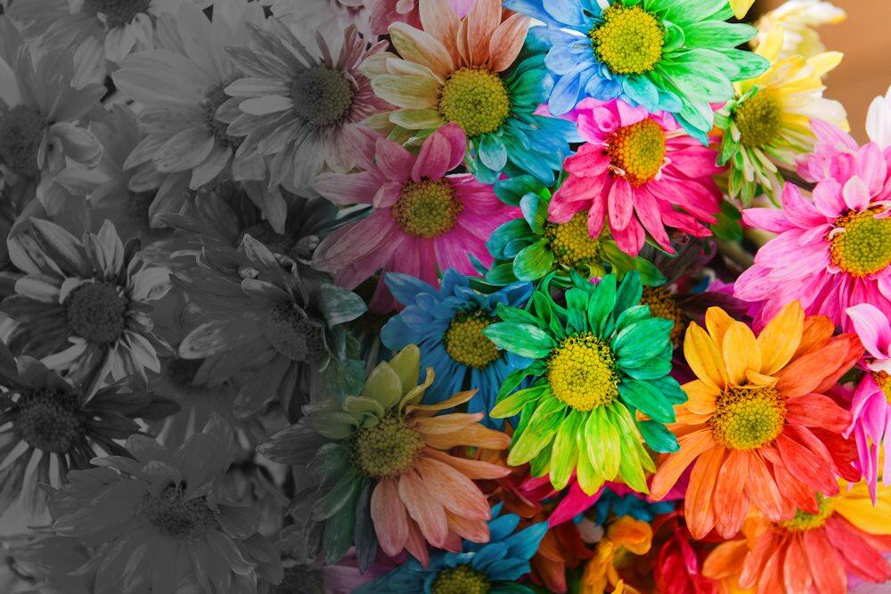 Creating gradient masks - Corel Discovery Center