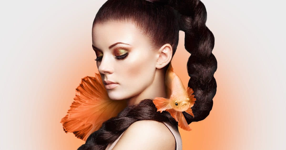 Introduction to AI-powered tools - Corel Discovery Center