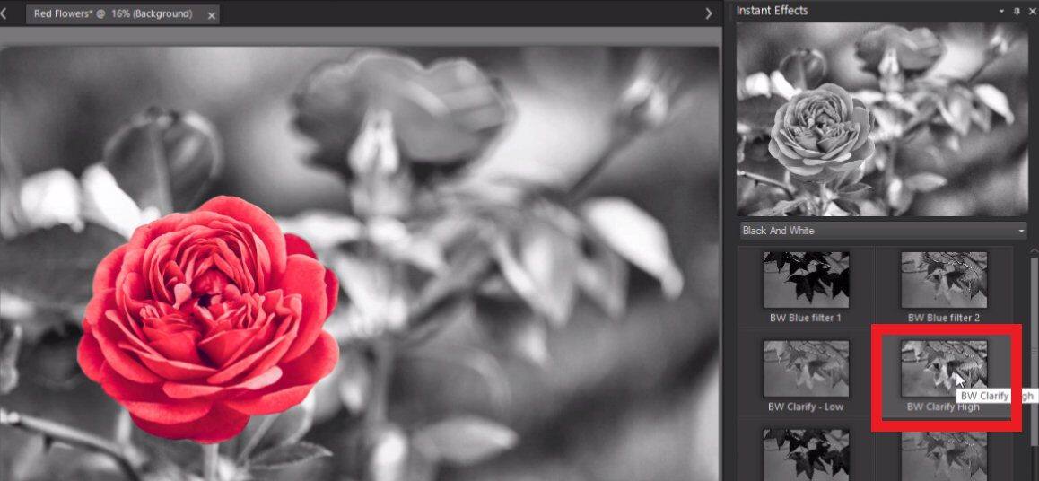 Adding Instant Effects - Corel Discovery Center
