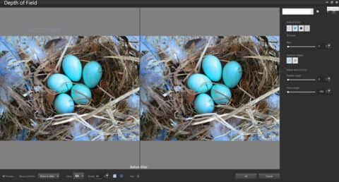 Creating a Depth of Field effect - Corel Discovery Center