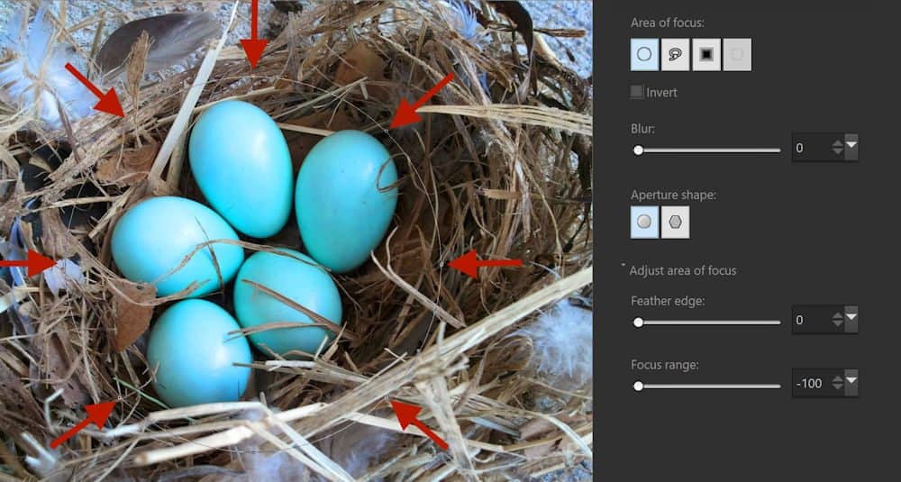 Creating a Depth of Field effect - Corel Discovery Center