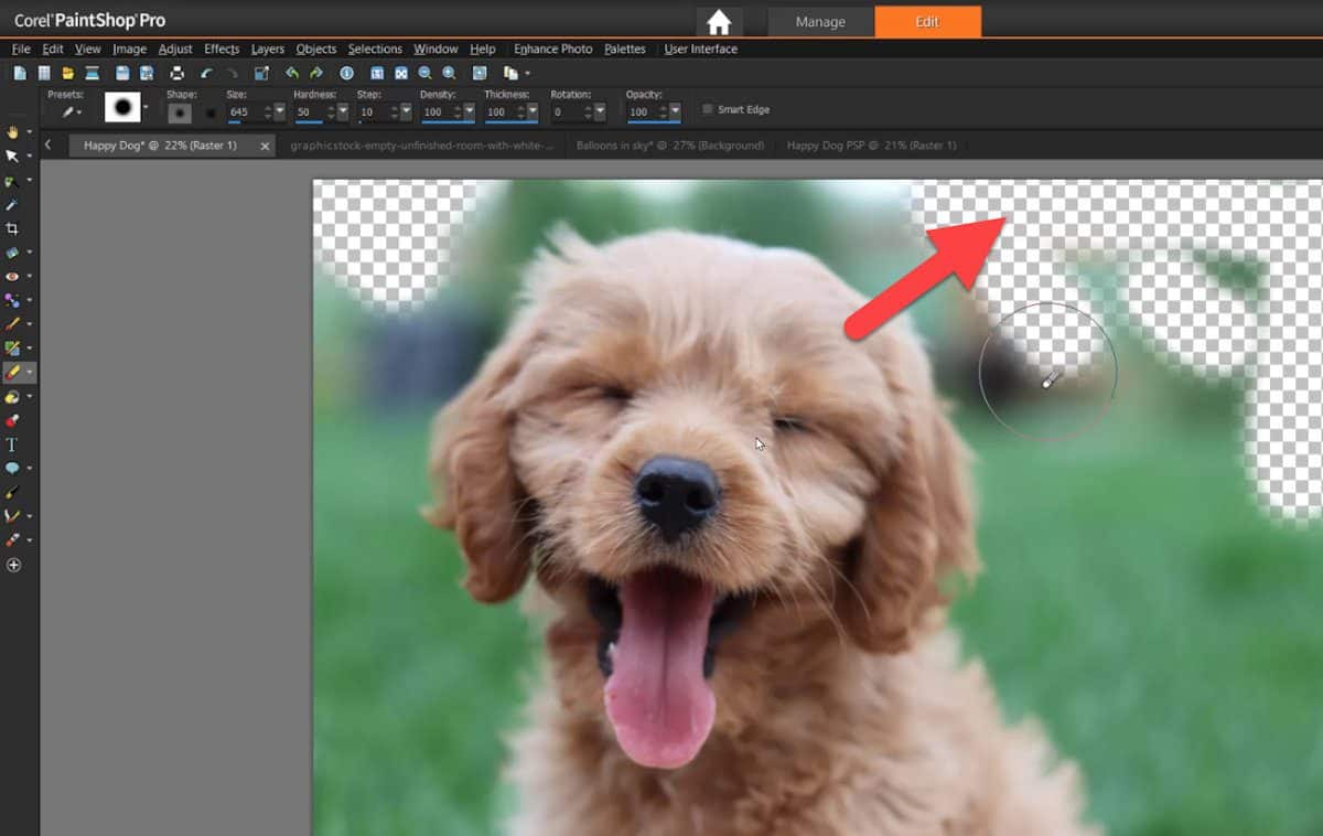 How to use the Eraser tool - Corel Discovery Center