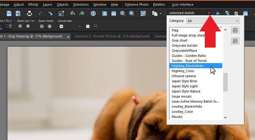 How to use scripts - Corel Discovery Center