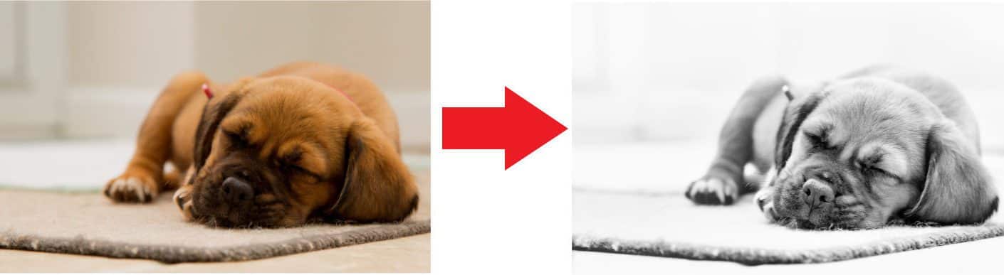 How to use scripts - Corel Discovery Center