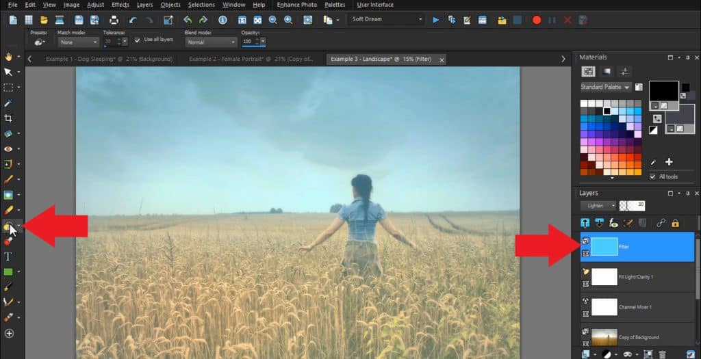 How to use scripts - Corel Discovery Center