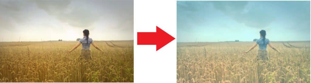 How to use scripts - Corel Discovery Center