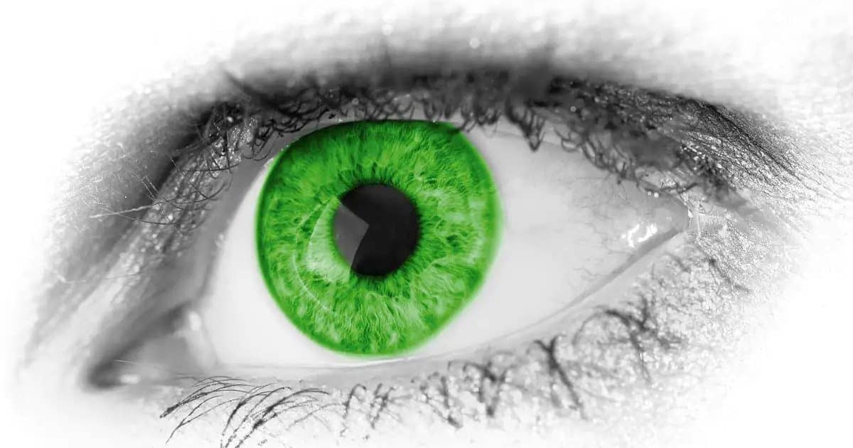 Part 4 of 6: Layer opacity - Corel Discovery Center