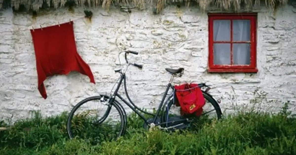 How to use Magic Fill to remove unwanted objects - Corel Discovery Center