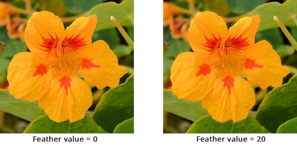 How to Use the Magic Wand Selection Tool - Corel Discovery Center
