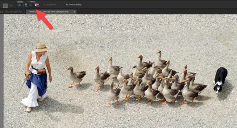 How to Use the Object Remover in PaintShop Pro - Corel Discovery Center