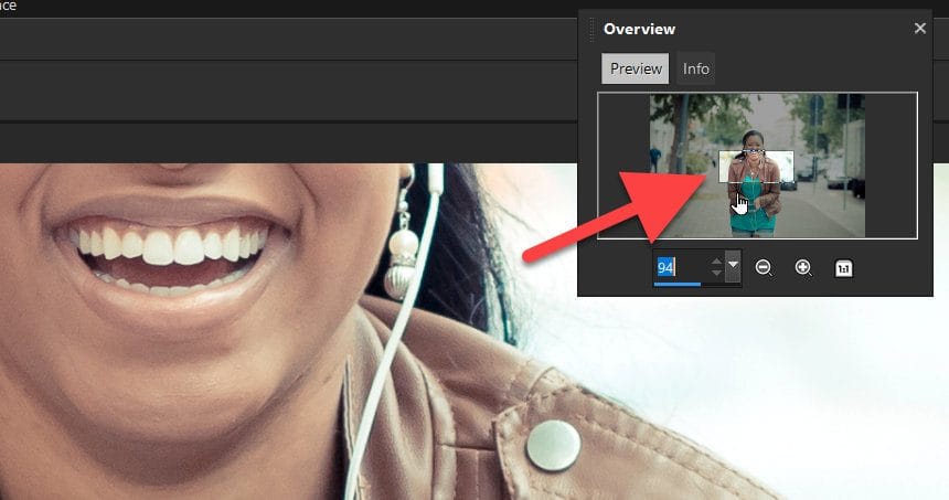 How to use the Pan tool in PaintShop Pro - Corel Discovery Center