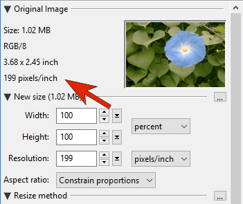 How to Enlarge Images with PhotoZoom - Corel Discovery Center
