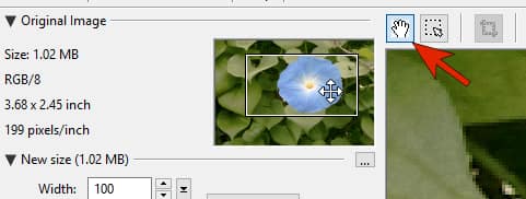 How to Enlarge Images with PhotoZoom - Corel Discovery Center