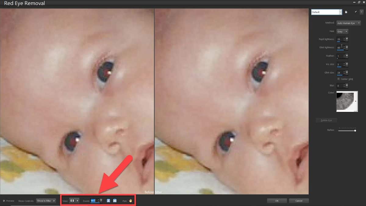 Removing the red-eye effect - Corel Discovery Center