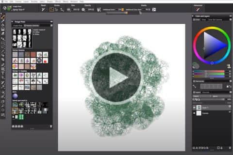 Painter Tutorials - Corel Discovery Center