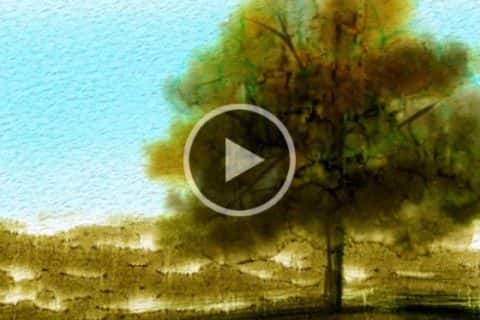 Painter 2020 Tutorials - Corel Discovery Center