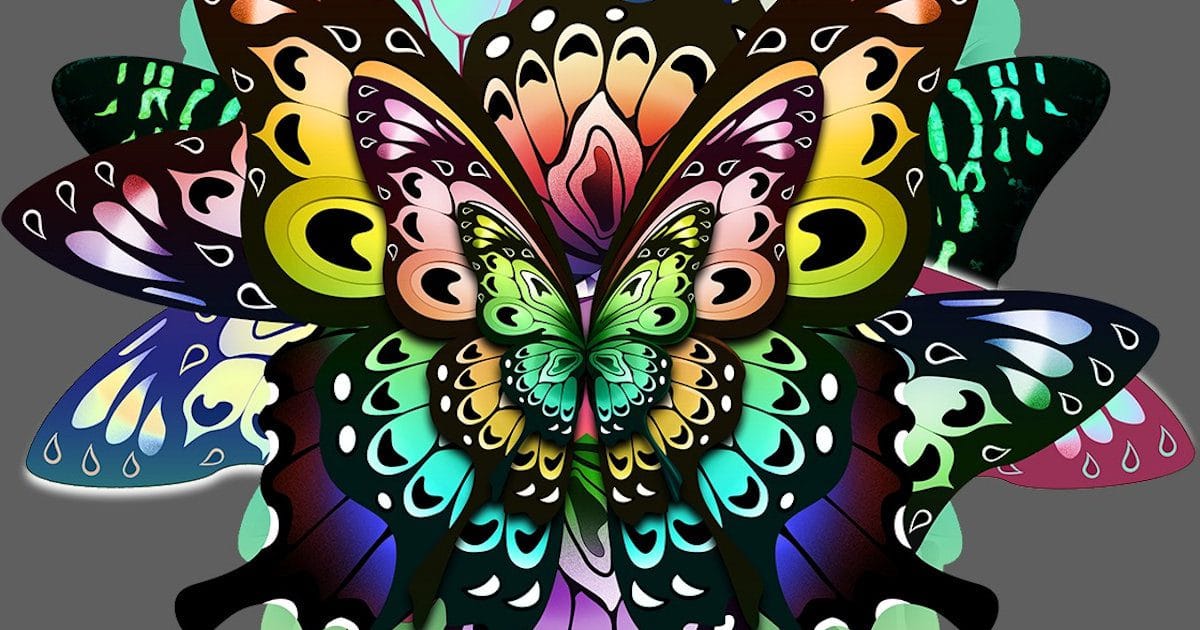 How to use the Biology and Organic paper textures - Corel Discovery Center