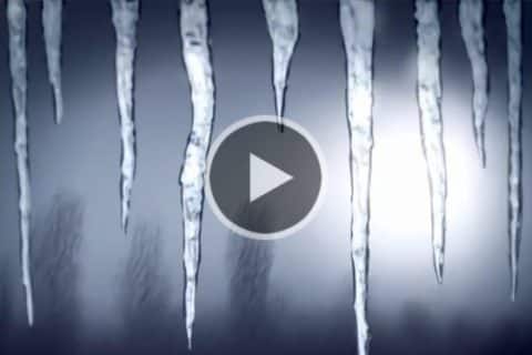 Painting Tutorials - Corel Discovery Center