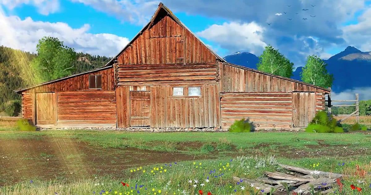 How to use the Spring brushes - Corel Discovery Center