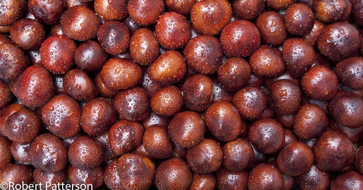 How do camera lenses work? - Corel Discovery Center