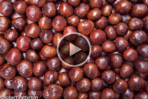 Photo Tutorials - Corel Discovery Center