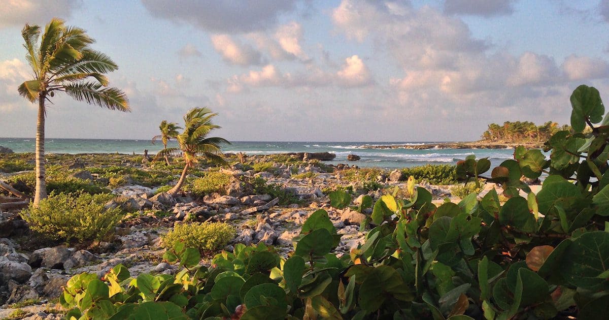 Landscape photography with your iPhone - Corel Discovery Center