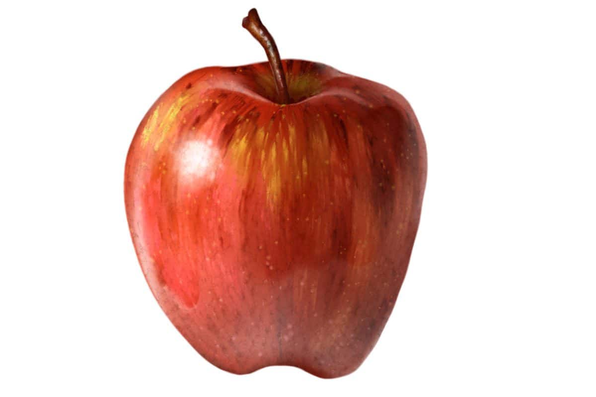 How to draw an apple - Corel Discovery Center