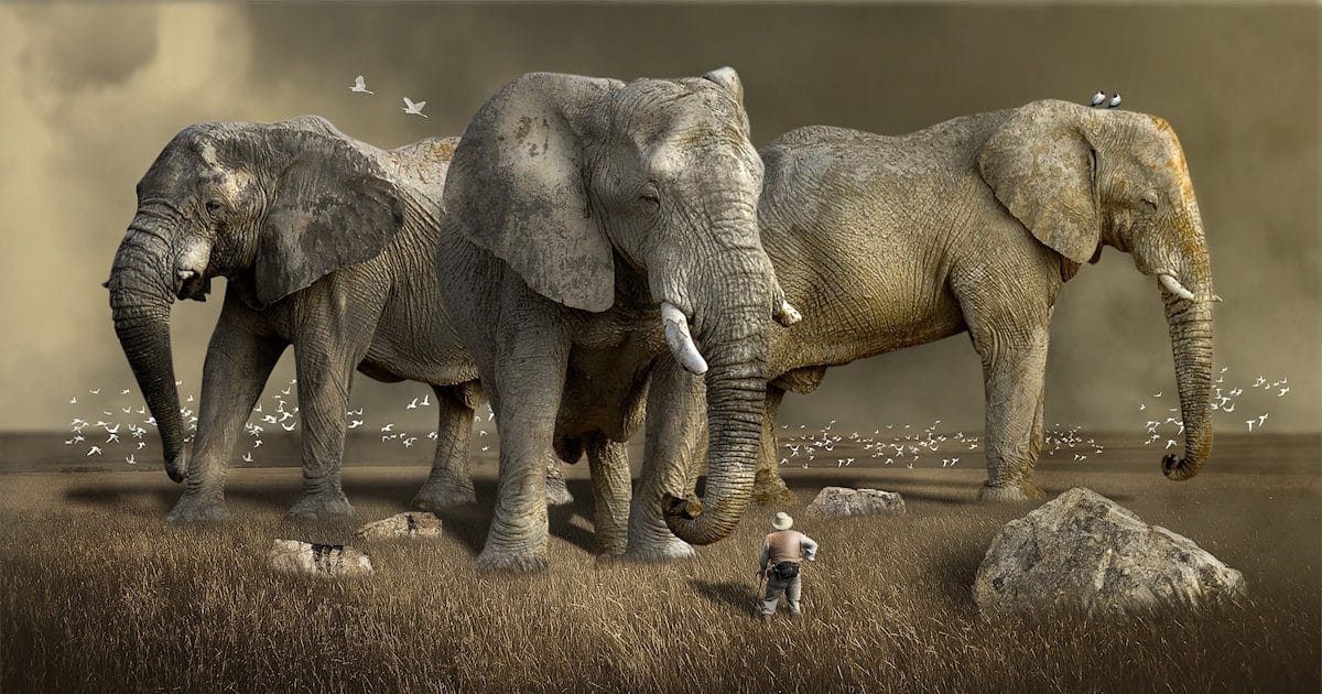 Animal Photo and Art Contest - Corel Discovery Center