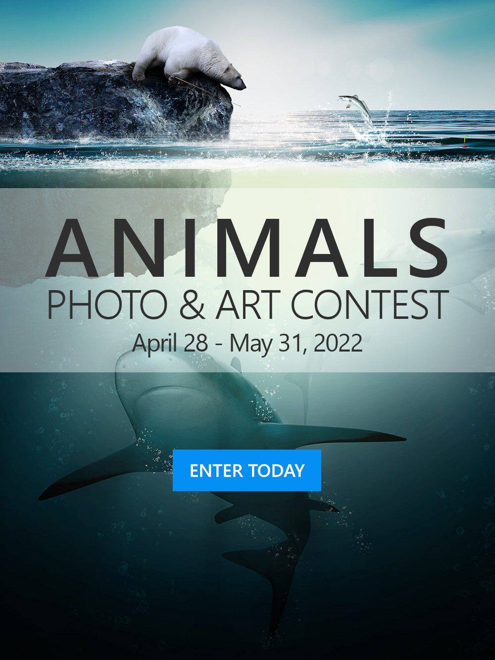 Setting Pressure Sensitivity and Velocity for All Brushes