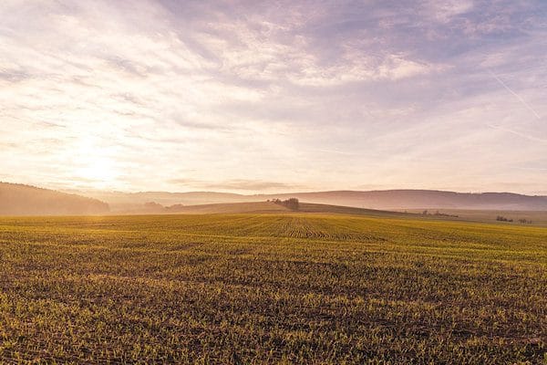 How To Use Magic Fill To Remove Unwanted Objects