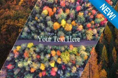 How to Use MultiCam Capture Lite - Corel Discovery Center